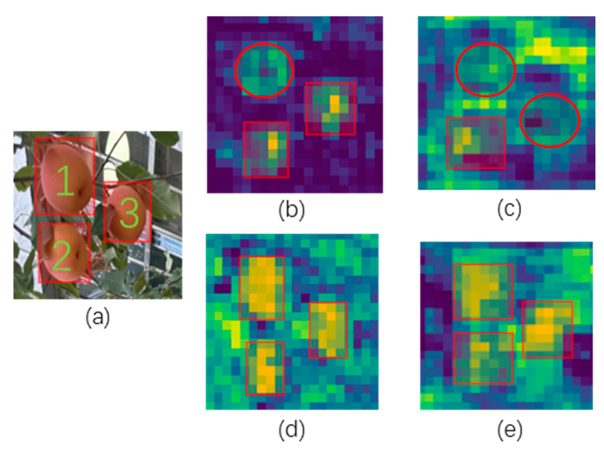 Rep-ViG-Apple: A CNN-GCN Hybrid Model for Apple Detection in Complex ...