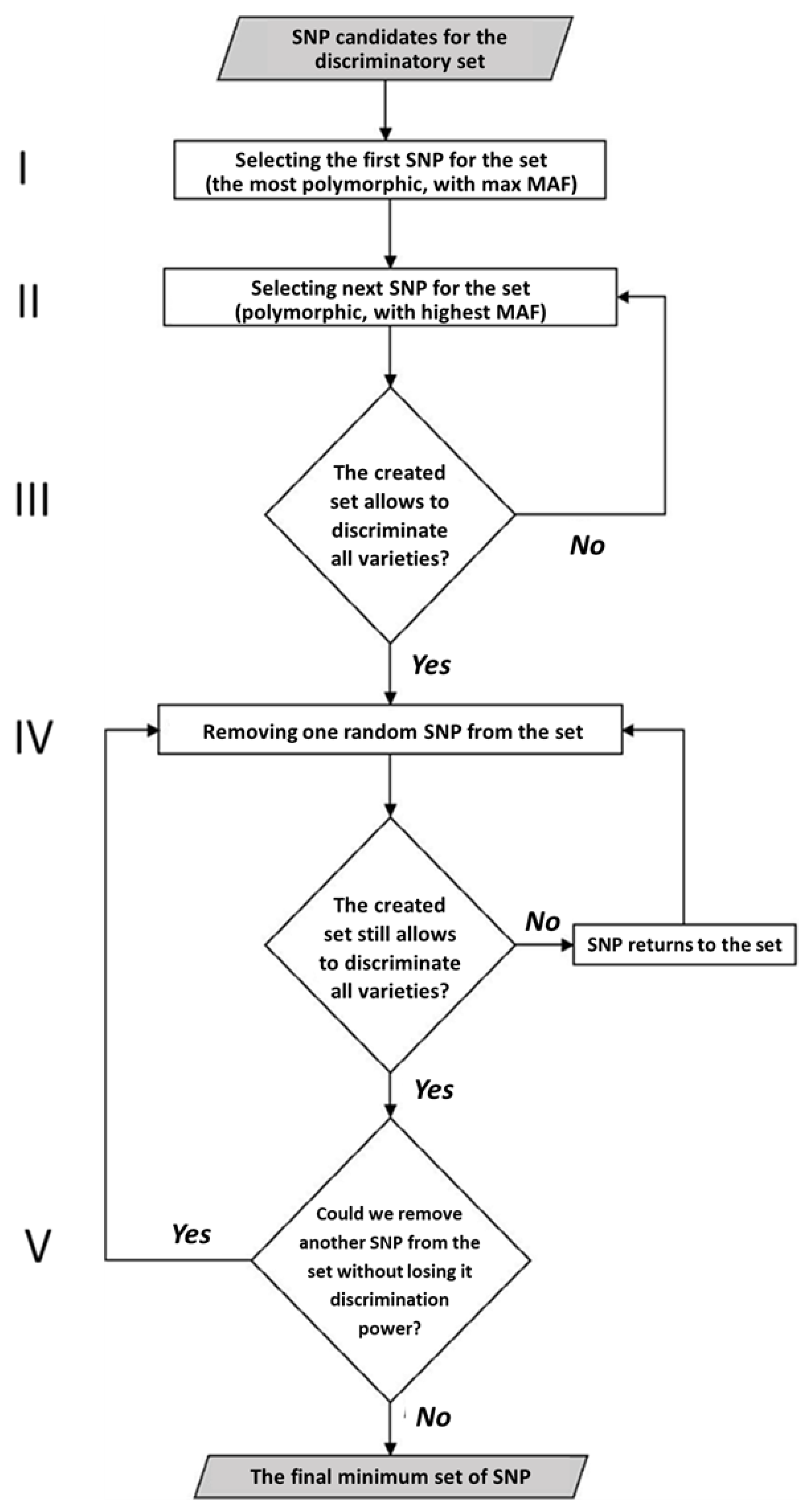 A Tool for the Design of the Minimal Fingerprinting SNP Set: Use Case ...
