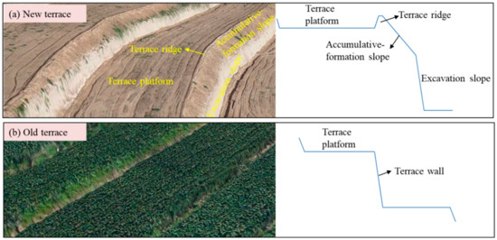 Soil Erosion Characteristics of the Agricultural Terrace Induced by ...