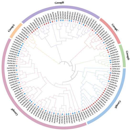 Genome-Wide Identification, Characterization, and Expression Profile of ...