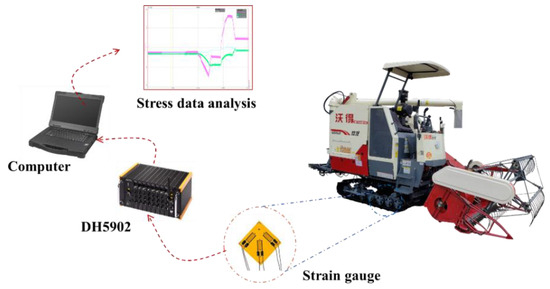 Agronomy | Free Full-Text | Construction and Characteristic Analysis of ...