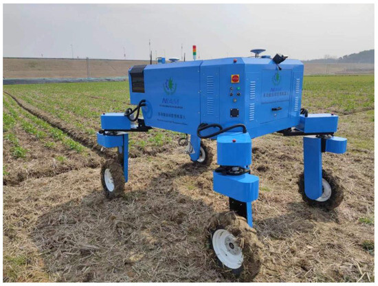Image Segmentation-Based Oilseed Rape Row Detection for Infield Navigation of Agri-Robot