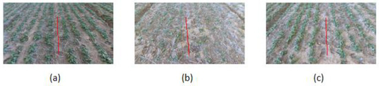 Image Segmentation-Based Oilseed Rape Row Detection for Infield Navigation of Agri-Robot
