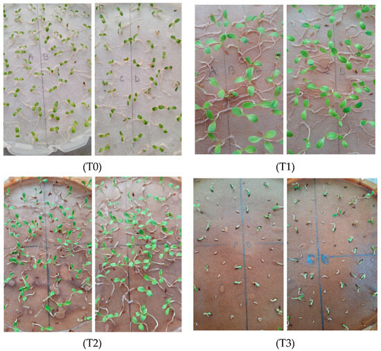 Preparation, Characterization, and Testing of Compost Tea Derived from ...