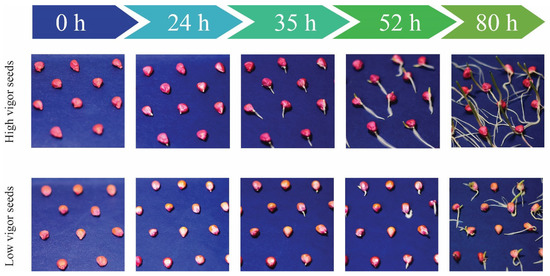 Utilization of Machine Learning and Hyperspectral Imaging Technologies ...