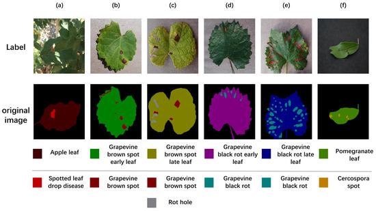 EFS-Former: An Efficient Network for Fruit Tree Leaf Disease ...