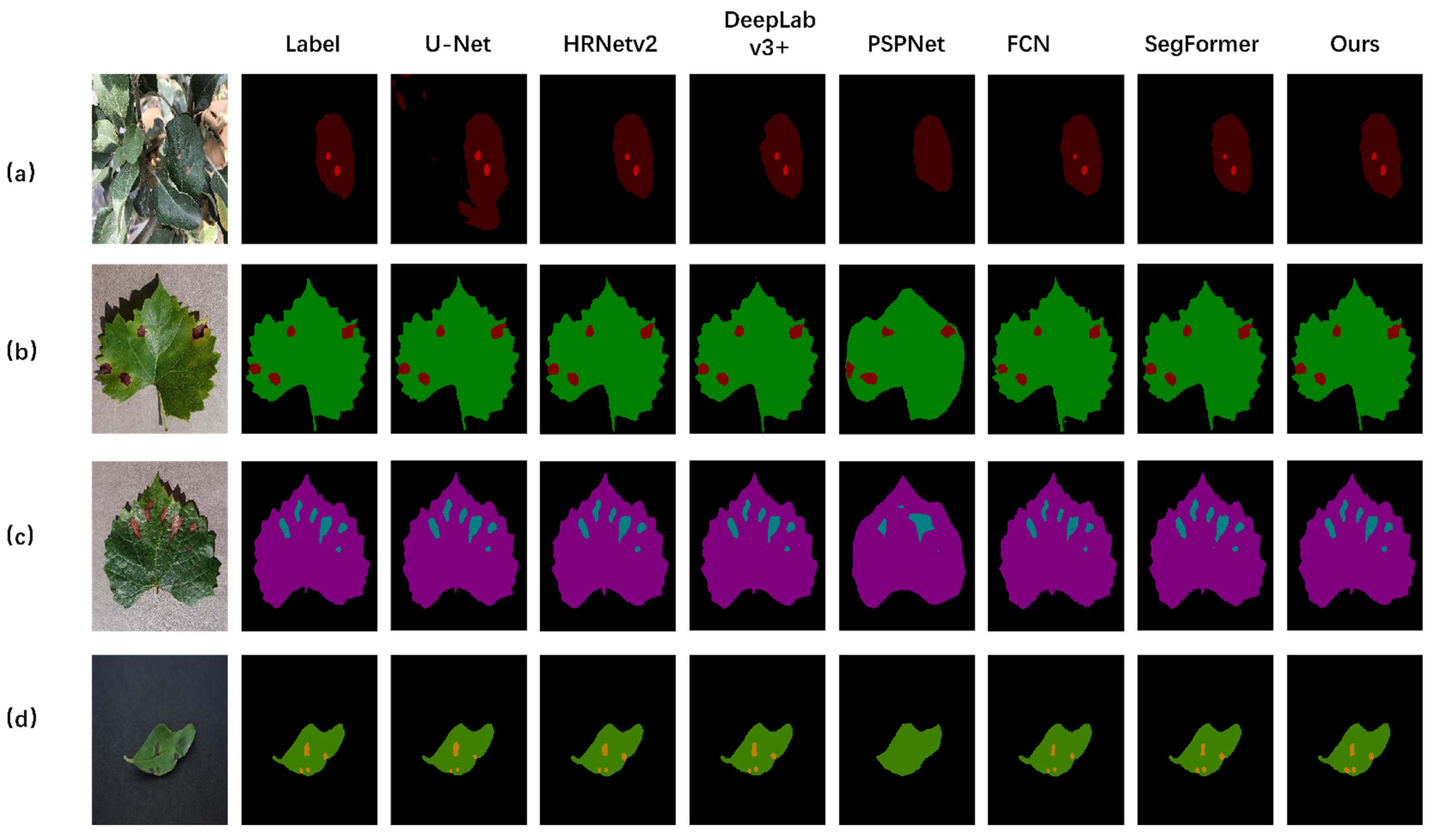 EFS-Former: An Efficient Network for Fruit Tree Leaf Disease Segmentation and Severity Assessment