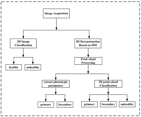 Prediction of Useful Eggplant Seedling Transplants Using Multi-View Images