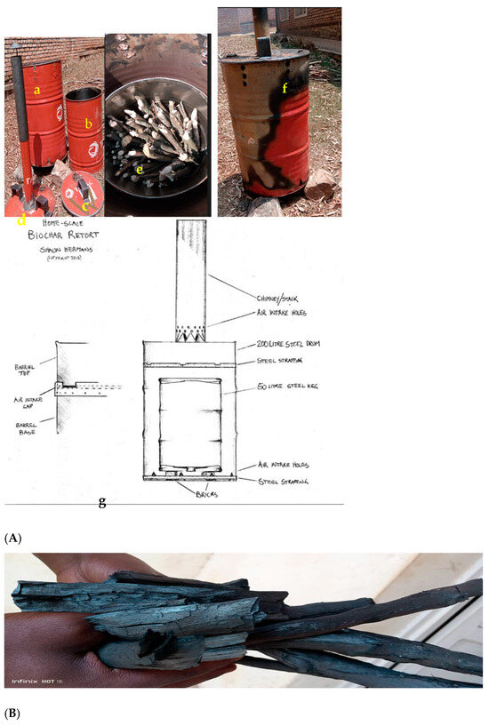 French Bean Production as Influenced by Biochar and Biochar Blended ...