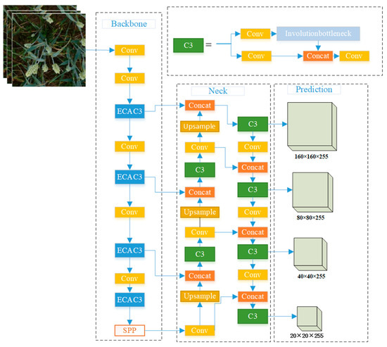 Lightweight Wheat Spike Detection Method Based on Activation and Loss ...