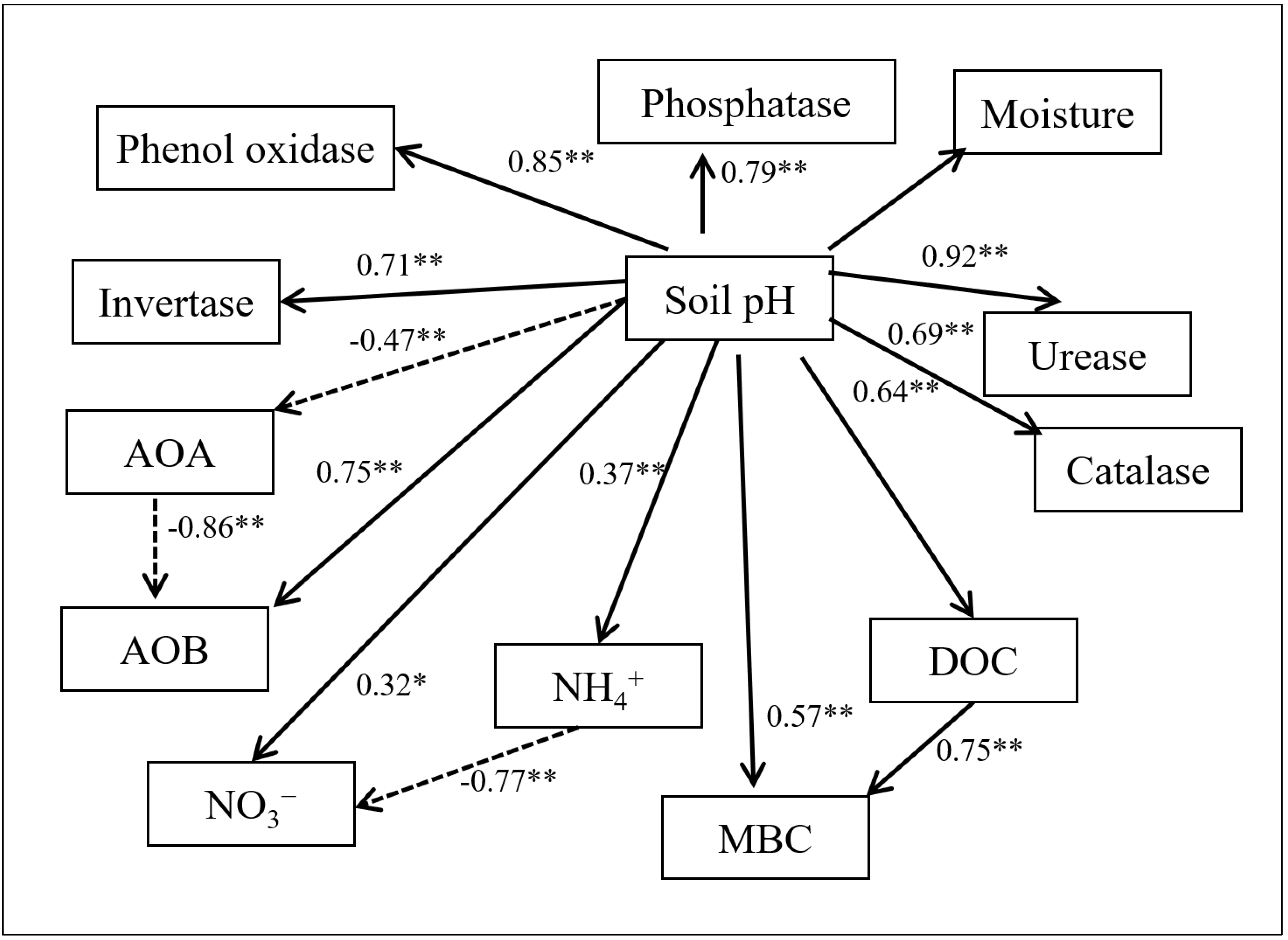 Impact of Dolomite Liming on Ammonia-Oxidizing Microbial Populations ...