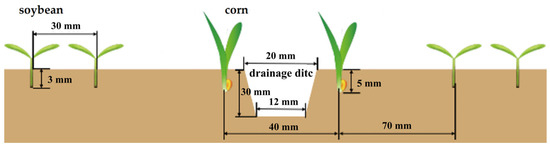 Design and Experiment of an Inter-Row Weeding Machine Applied in Soybean and Corn Strip Compound ...
