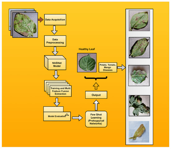 Comparison of Deep Learning Models for Multi-Crop Leaf Disease ...