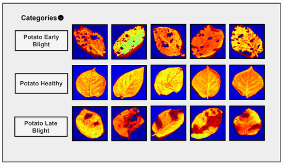 Comparison of Deep Learning Models for Multi-Crop Leaf Disease ...