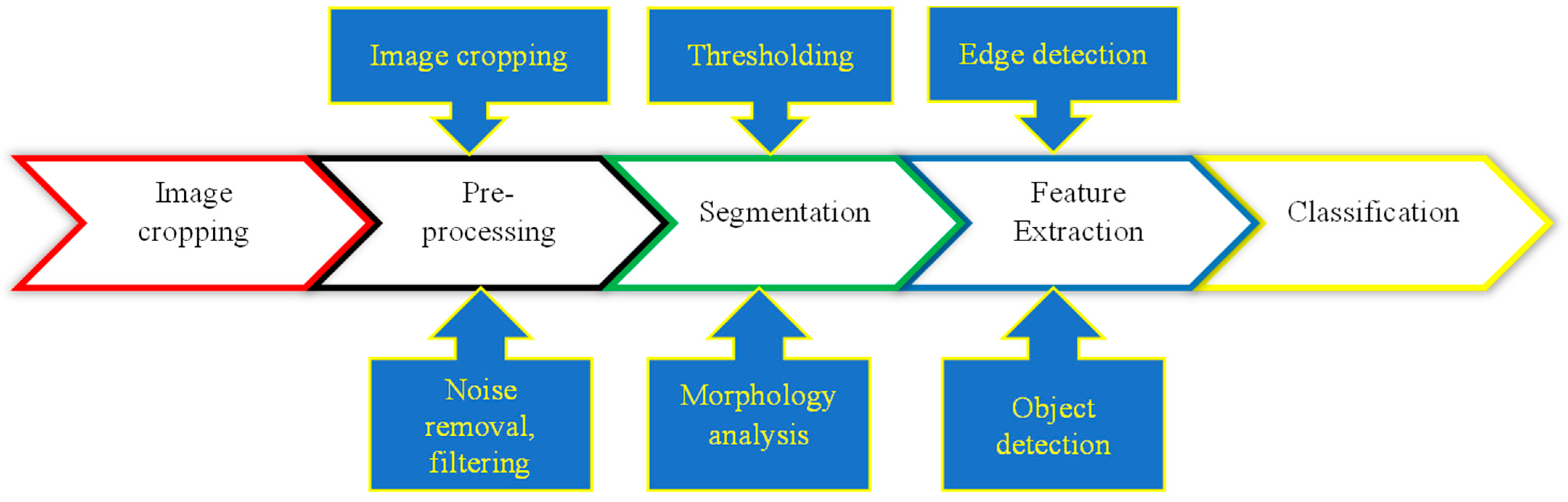 Leveraging Convolutional Neural Networks for Disease Detection in ...