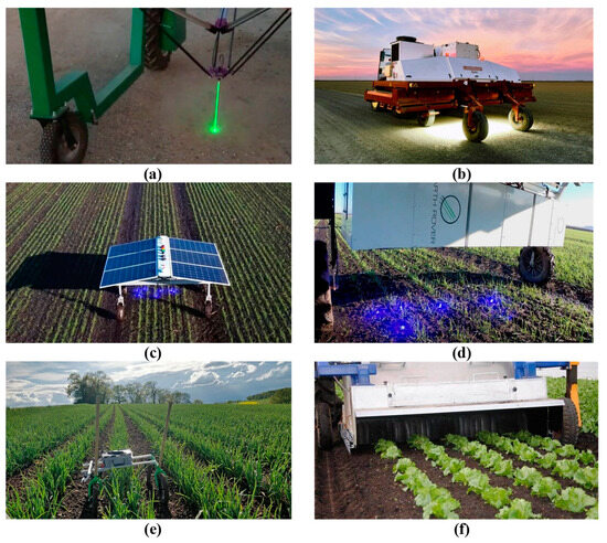 Laser Weeding Technology in Cropping Systems: A Comprehensive Review