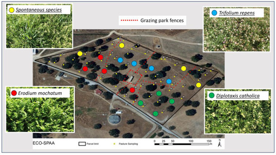Crude Protein as an Indicator of Pasture Availability and Quality: A ...