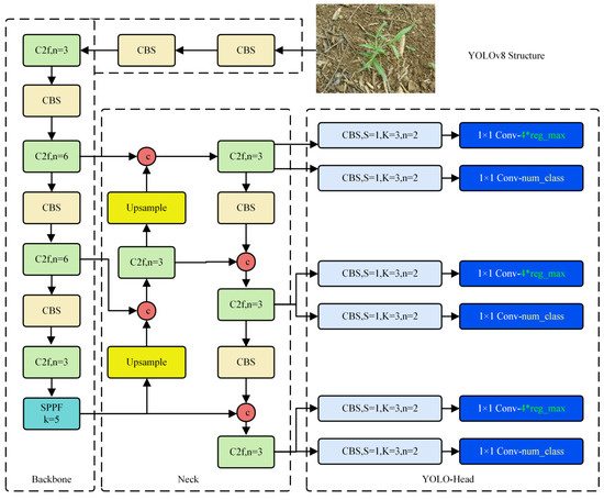 ADL-YOLOv8: A Field Crop Weed Detection Model Based on Improved YOLOv8