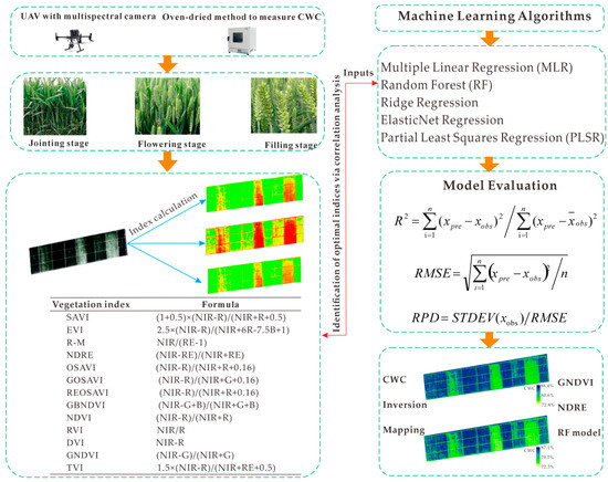 Inversion of Crop Water Content Using Multispectral Data and Machine ...