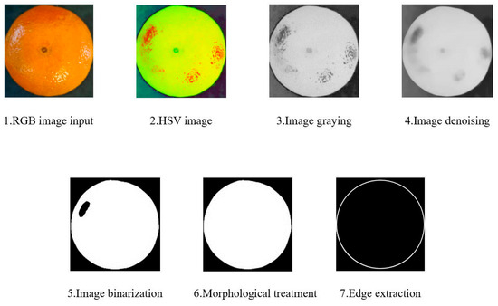 From Outside to Inside: The Subtle Probing of Globular Fruits and ...