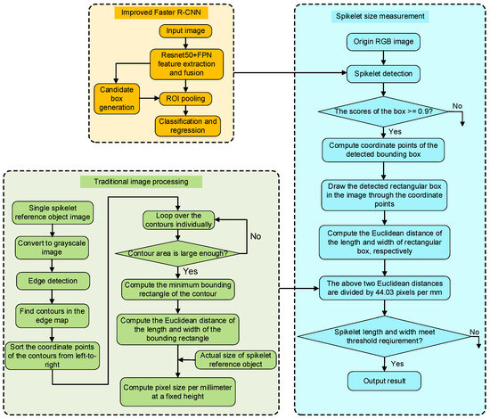 Non-Destructive Measurement of Rice Spikelet Size Based on Panicle ...
