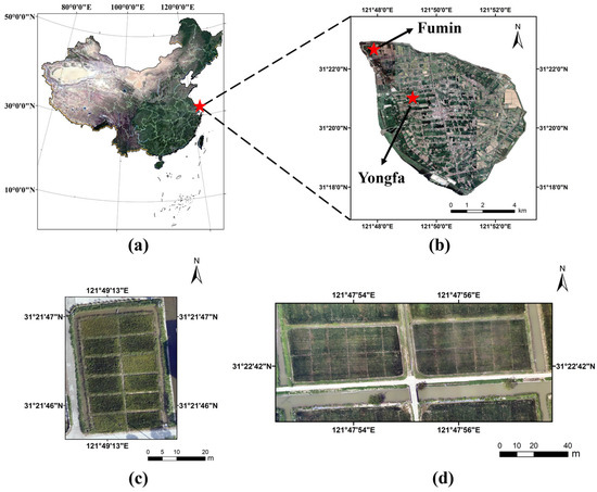 Improving Simulations of Rice Growth and Nitrogen Dynamics by Assimilating Multivariable ...