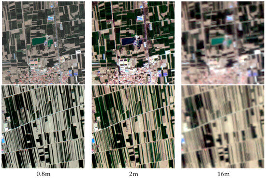 Extraction of Winter Wheat Planting Plots with Complex Structures from Multispectral Remote ...