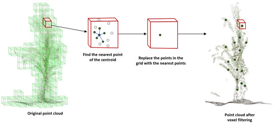 Maize Phenotypic Parameters Based on the Constrained Region Point Cloud Phenotyping Algorithm as ...