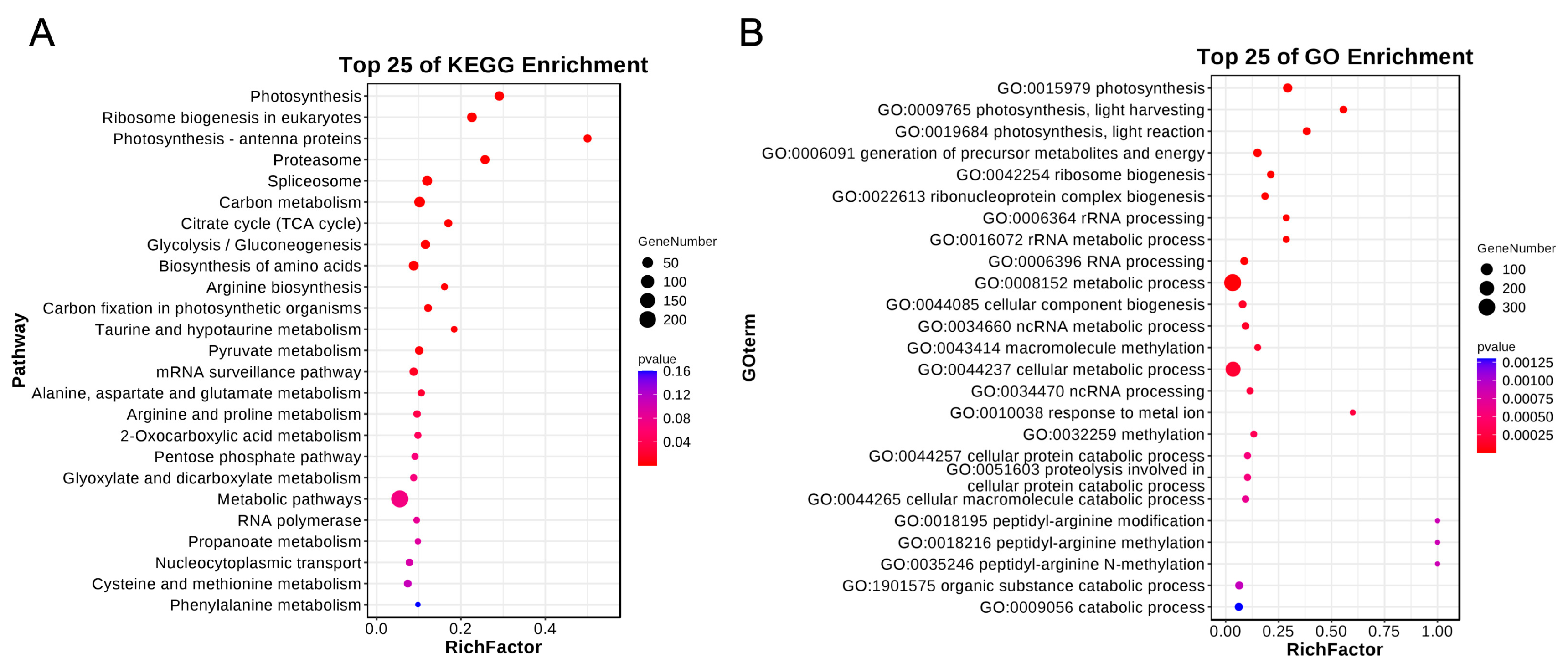 Identification of Candidate Genes for Soybean Storability via GWAS and WGCNA Approaches