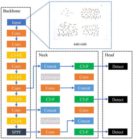 FEI-YOLO: A Lightweight Soybean Pod-Type Detection Model