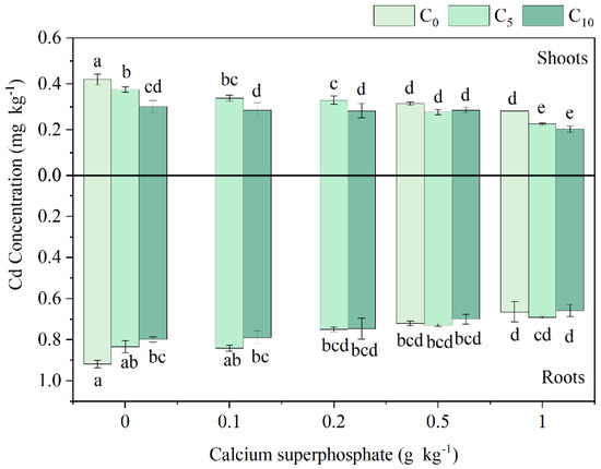 Combined Application of Biochar and Calcium Superphosphate Can ...
