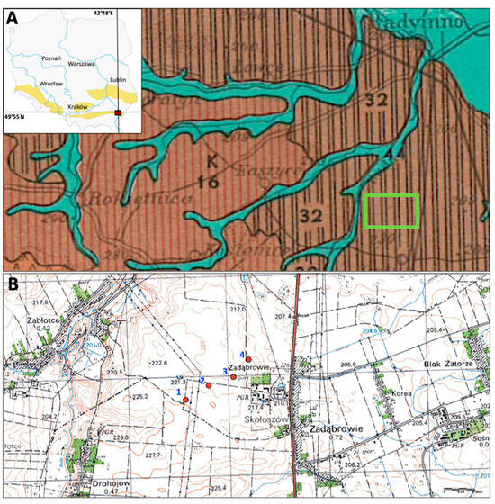 Distribution and Pools of Soil Organic Carbon in Chernozemic Soils ...