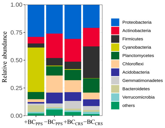 Soil Biocrusts May Exert a Legacy Impact on the Rhizosphere Microbial ...