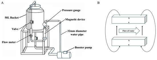 Combined Effects of Magnetized Irrigation and Water Source on Italian ...
