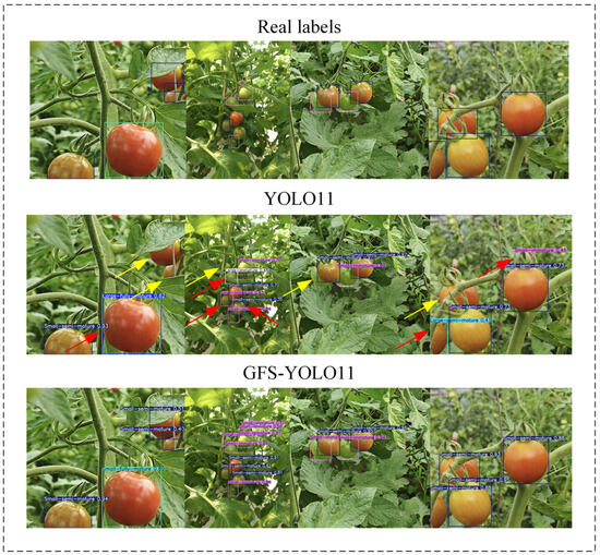 GFS-YOLO11: A Maturity Detection Model for Multi-Variety Tomato