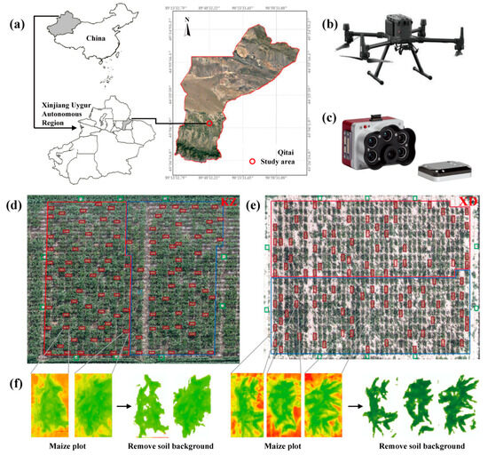 Analysis of Growth Variation in Maize Leaf Area Index Based on Time-Series Multispectral Images ...