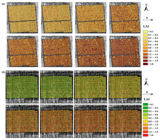 Analysis of Growth Variation in Maize Leaf Area Index Based on Time-Series Multispectral Images ...