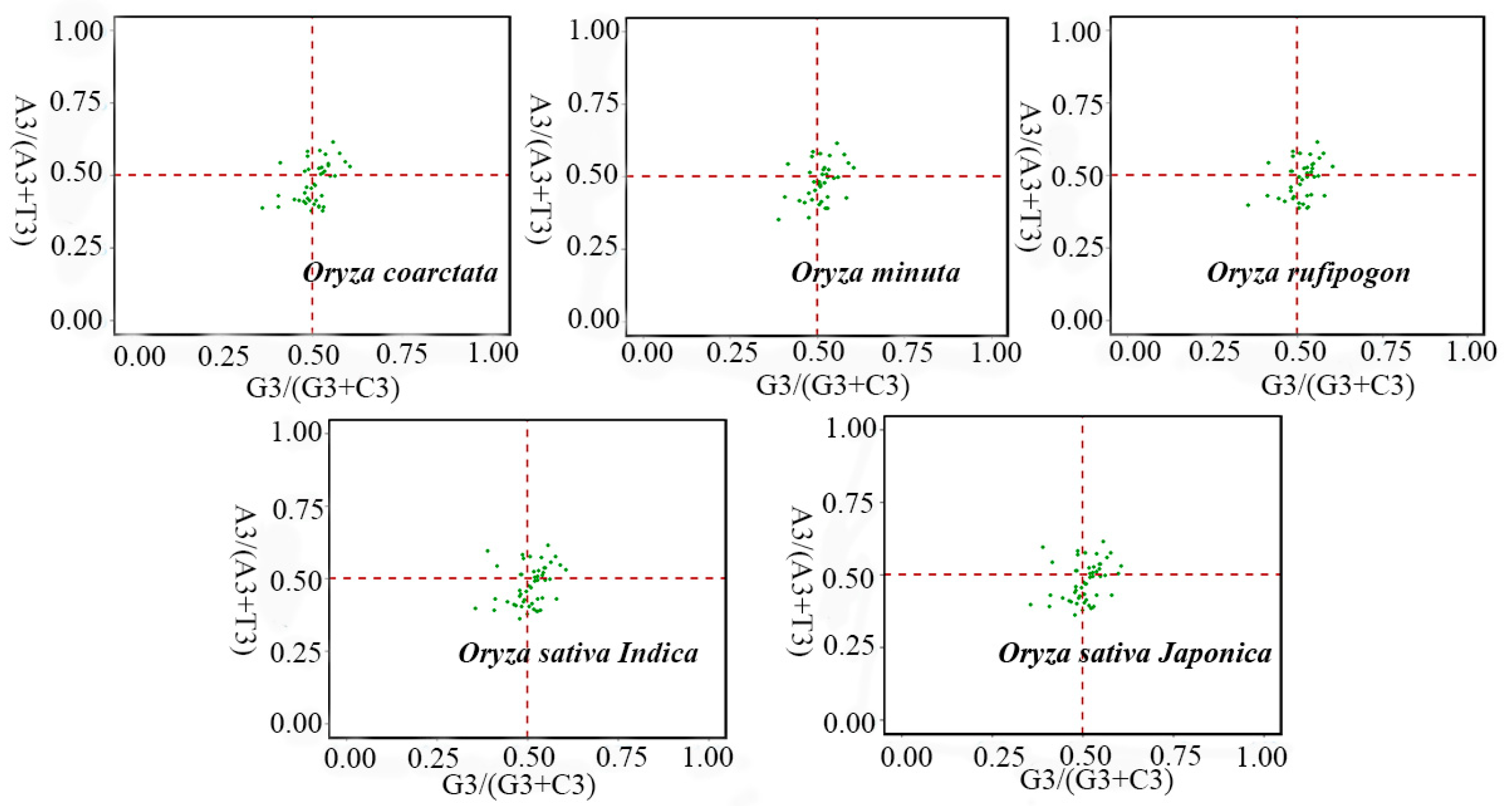 Deciphering Codon Usage Patterns in the Mitochondrial Genome of the ...