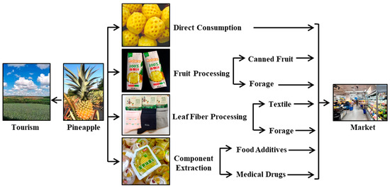 Development, Prevention, and Detection of Pineapple Translucency: A Review