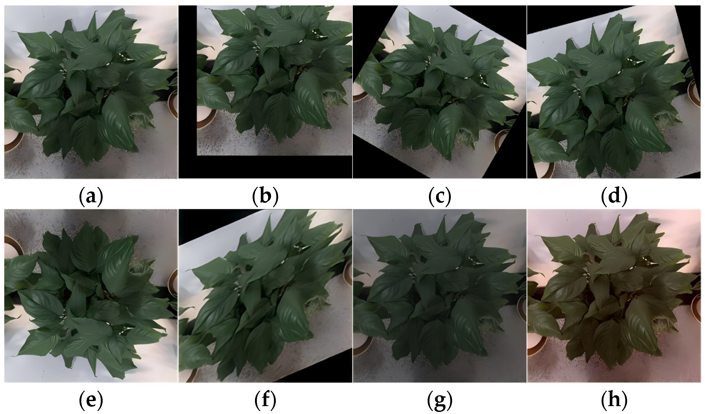 An Efficient Computer Vision-Based Dual-Face Target Precision Variable ...