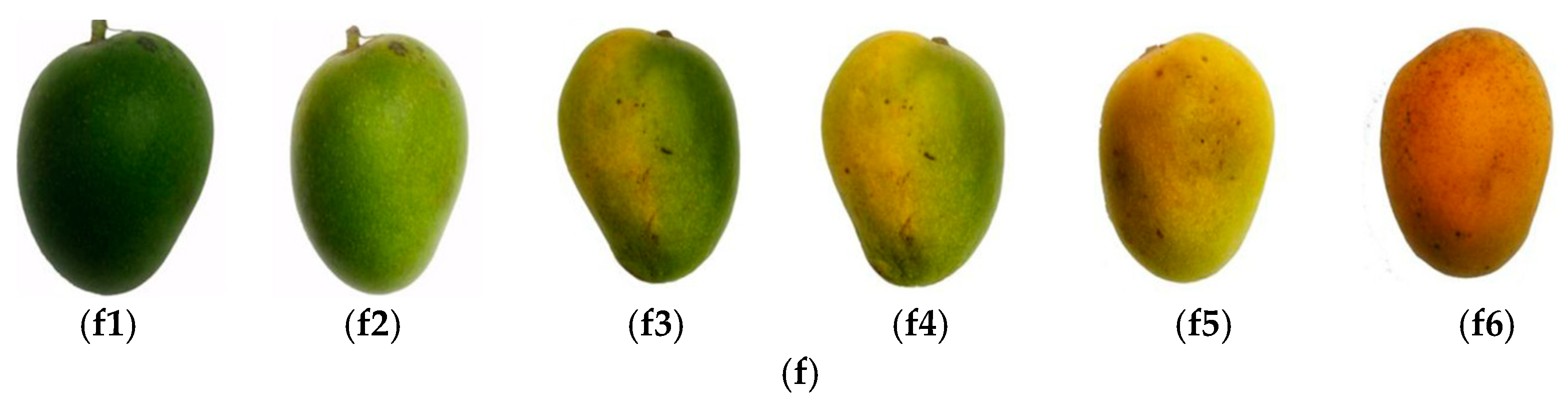 State-of-the-Art Techniques for Fruit Maturity Detection