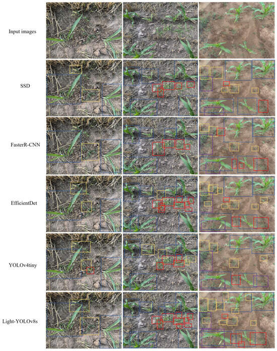 A Lightweight Model for Weed Detection Based on the Improved YOLOv8s Network in Maize Fields