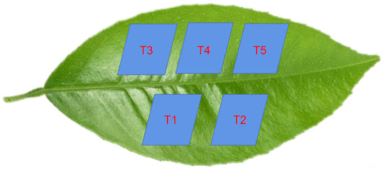 A Novel Approach to Enhancing Pesticide Spraying Effectiveness on ...