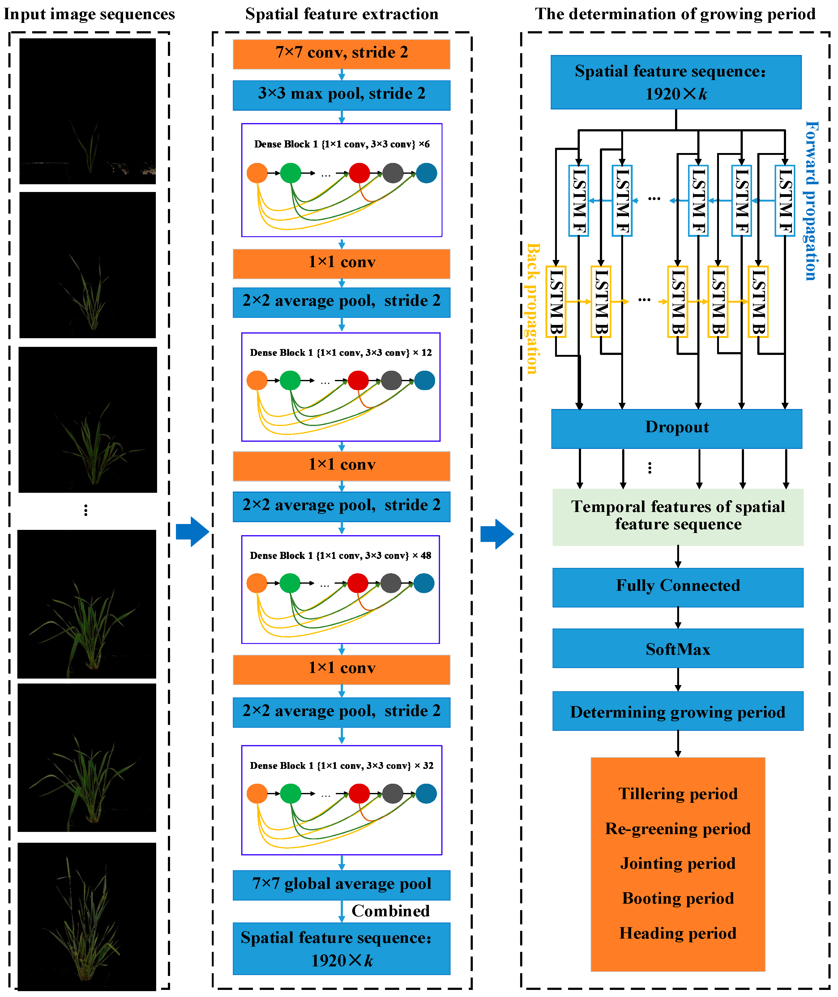 Determination of Wheat Growth Stages Using Image Sequences and Deep ...