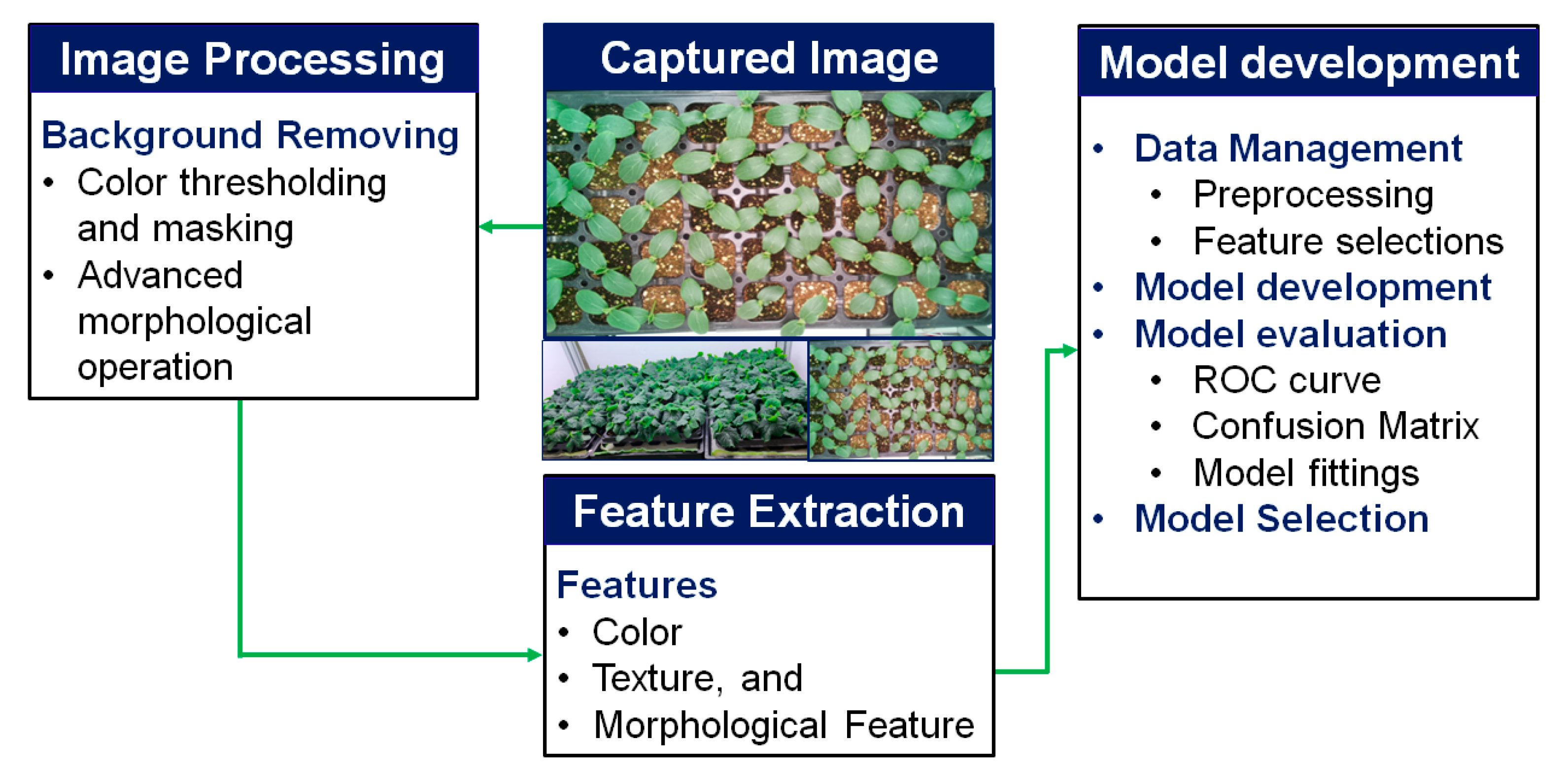 Evaluation of Machine Learning Models for Stress Symptom Classification of Cucumber Seedlings ...