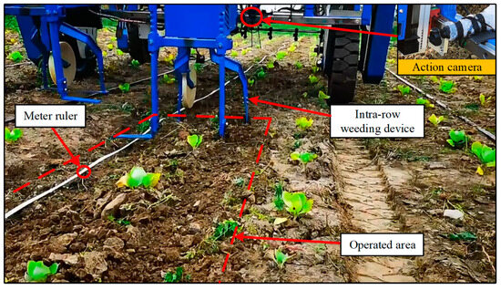 Design and Experimental Evaluation of a Smart Intra-Row Weed Control System for Open-Field Cabbage