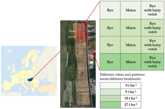 Effects of Sewage Sludge Compost on Carbon, Nitrogen, Phosphorus, and ...