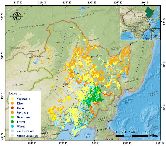 Vegetable Fields Mapping in Northeast China Based on Phenological Features