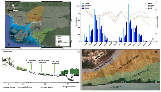 Linking Soil Fertility and Production Constraints with Local Knowledge ...