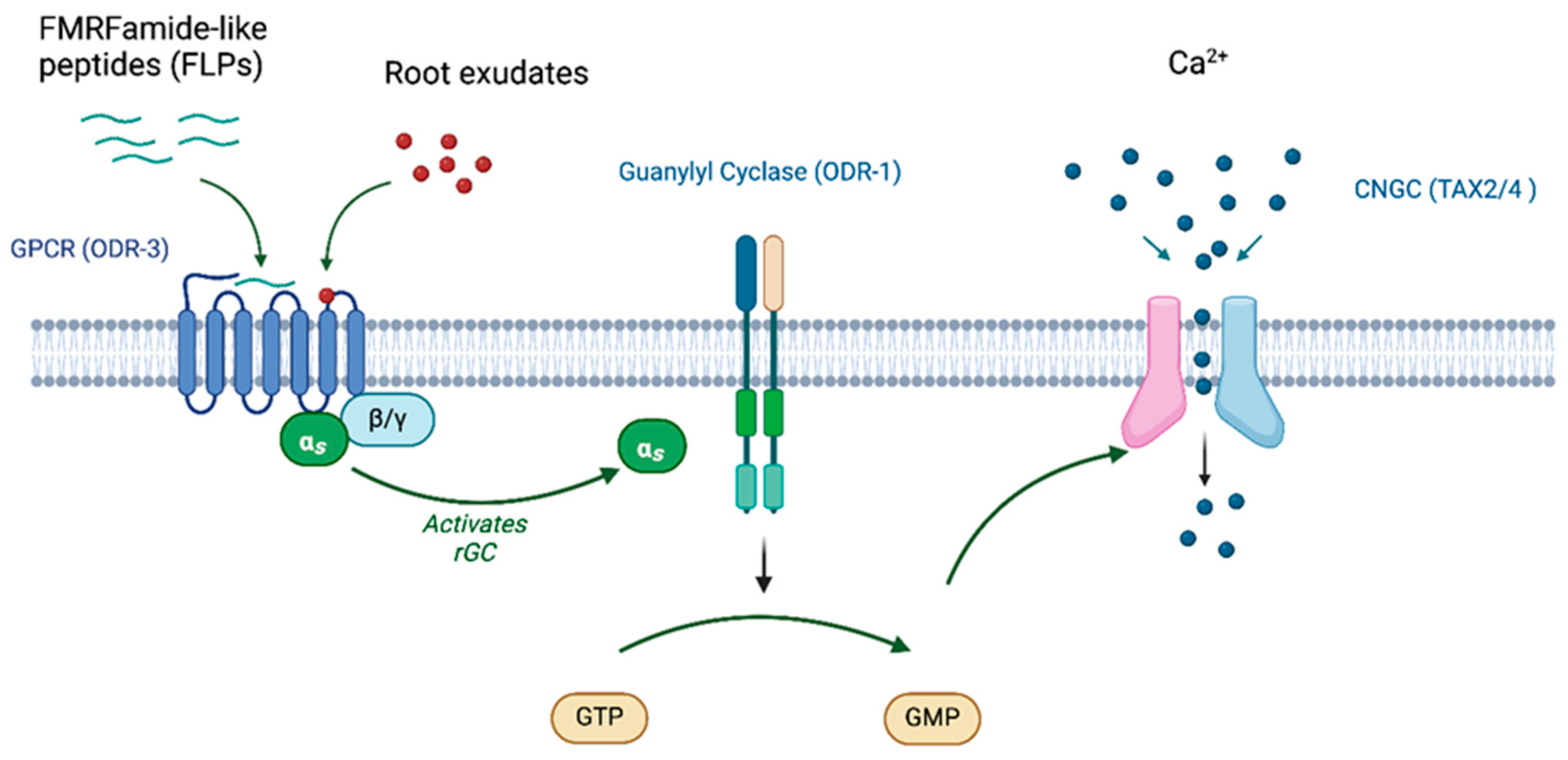 Current Trends and Future Prospects in Controlling the Citrus Nematode ...